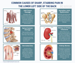 Sharp Stabbing Pain in the Lower Left Side of the Back - NJ's Top Orthopedic Spine & Pain ...
